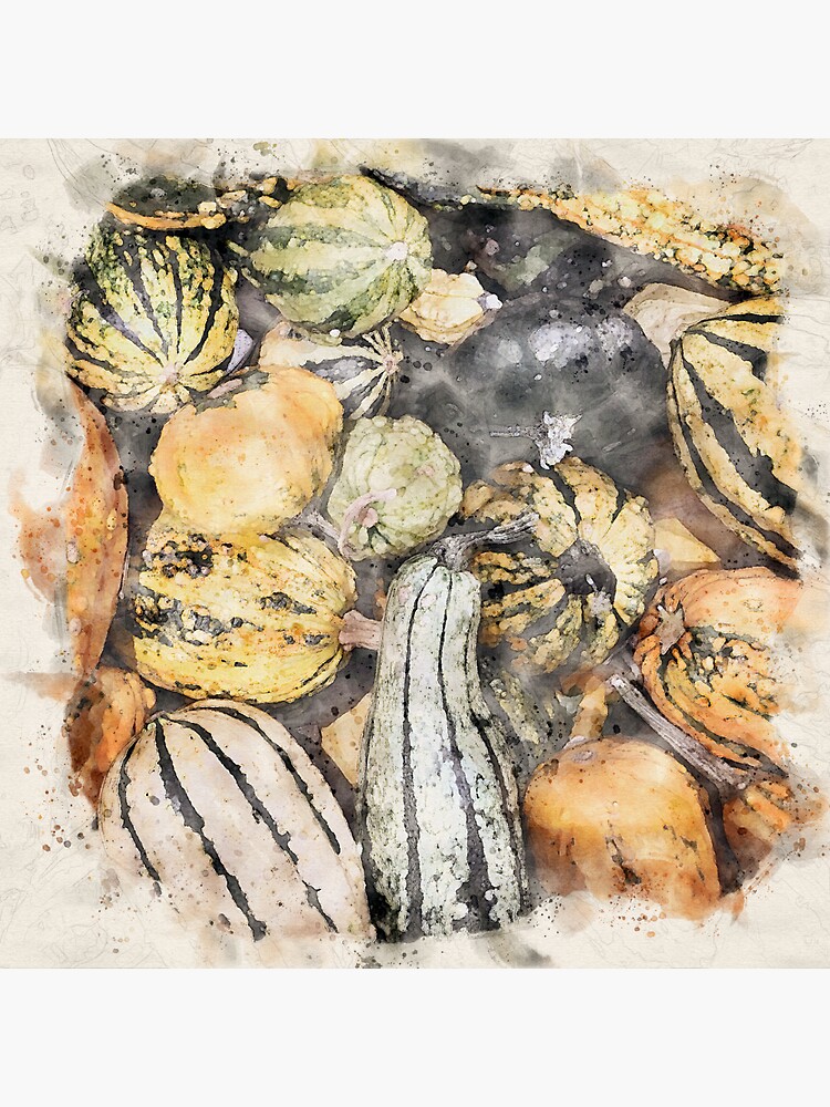 "Fall Gourds | Scenes From Nature Watercolor Illustration" Sticker for ...