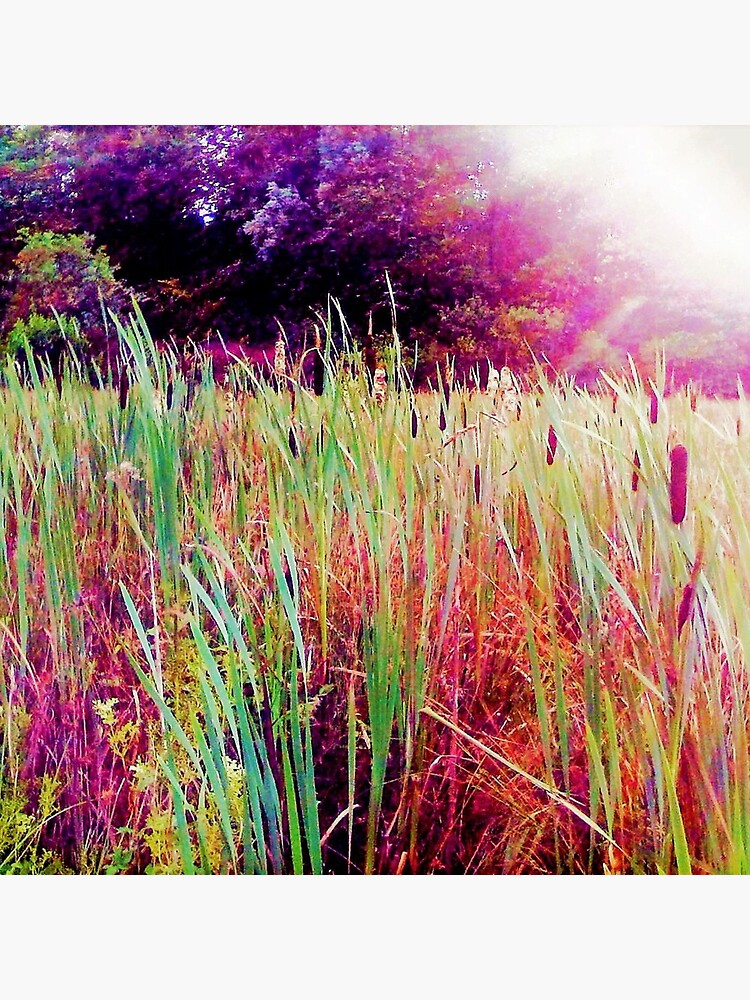 Rainbow grass texture seamless - afhery
