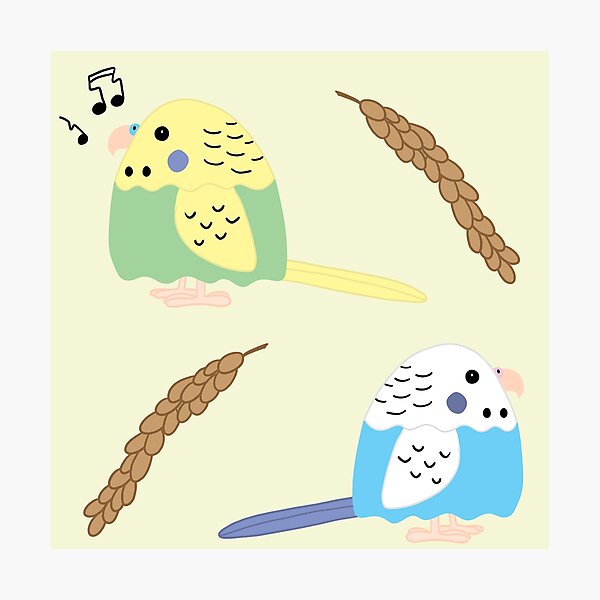 "Chubby singing budgies and millet sticker pack, pastel colors ...