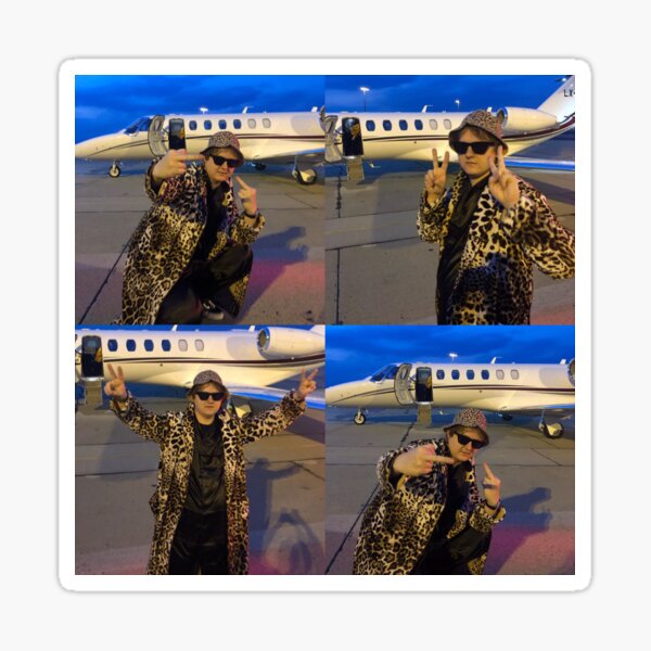 "Lewis Capaldi - Cheetah Print Photo Set" Sticker for Sale by ...