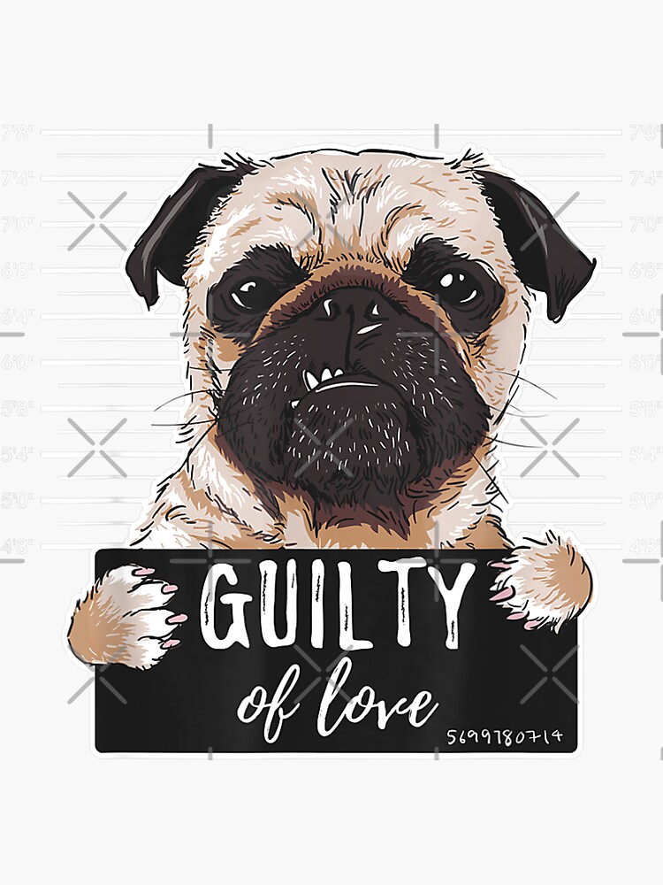 "Funny Pug Dog Jail Mugshot Guilty Of Love " Sticker for Sale by ...