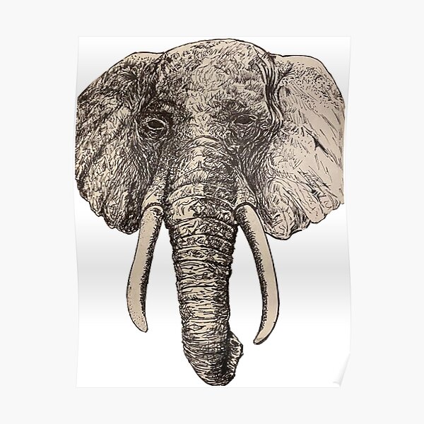 "elephant drawing" Poster for Sale by cicaj1 | Redbubble
