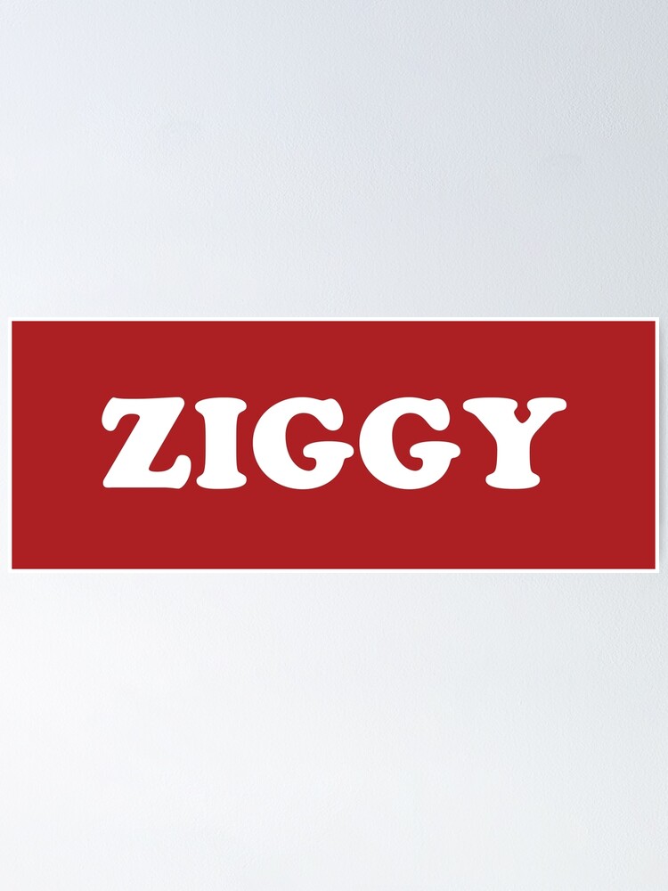 "Ziggy " Poster for Sale by Feel-GoodPrints | Redbubble