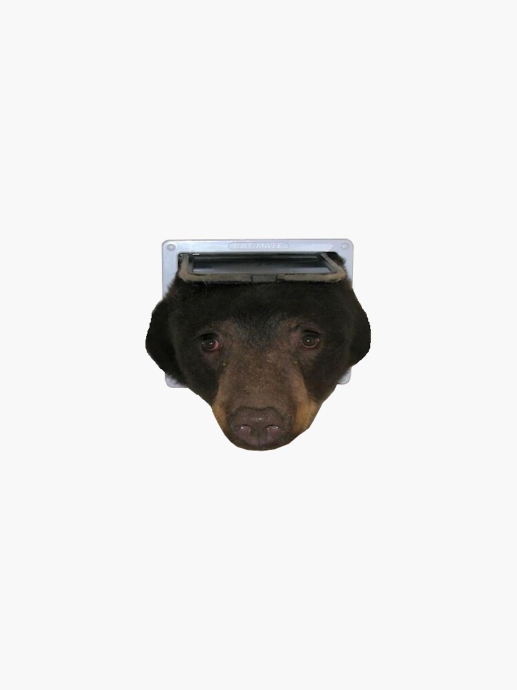 "Sad Bear " Sticker for Sale by OP4444 | Redbubble