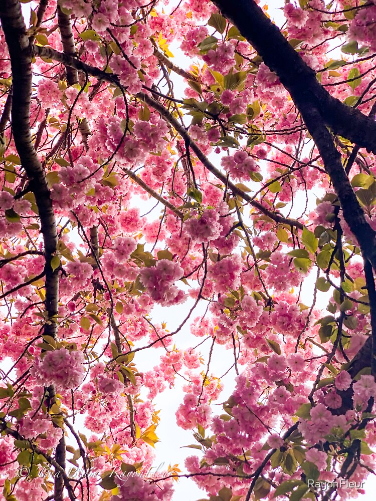 "Pink wave " Sticker by RayonFleur | Redbubble