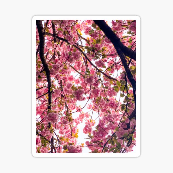 "Pink wave " Sticker by RayonFleur | Redbubble