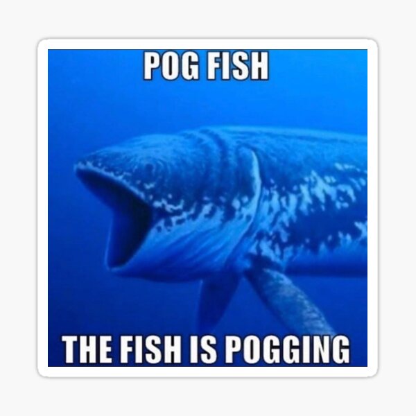 Pogfish Gifts & Merchandise for Sale | Redbubble