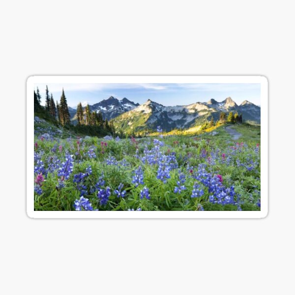 "Nature at its peak" Sticker by Monamaahi | Redbubble