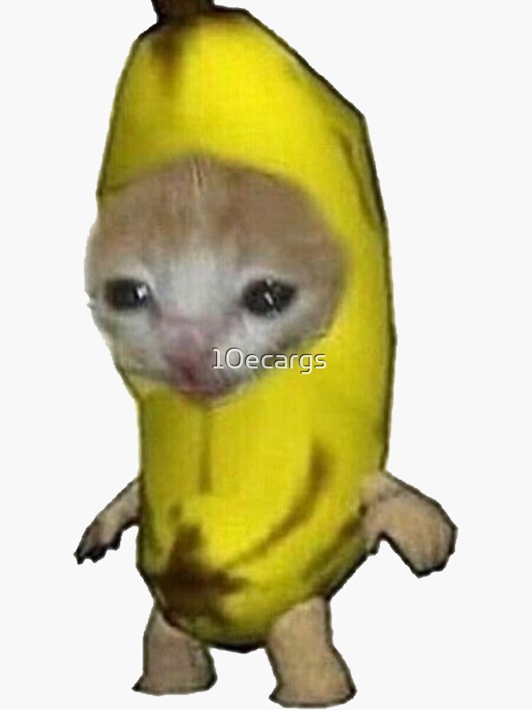 Pegatina for Sale con la obra «Lindo gatito en un plátano Meme Pegatina ...