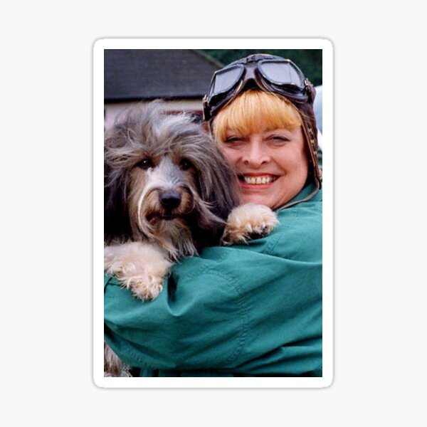 "COME OUTSIDE KIDS SHOW MERCH" Sticker for Sale by PopTartXO | Redbubble