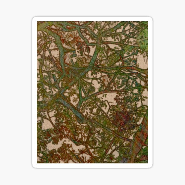"Tree branch patterns aesthetic art " Sticker for Sale by mdskrzaman ...