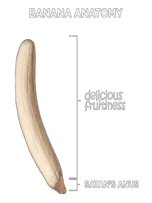 "Banana Anatomy" by AngryTeenShow | Redbubble