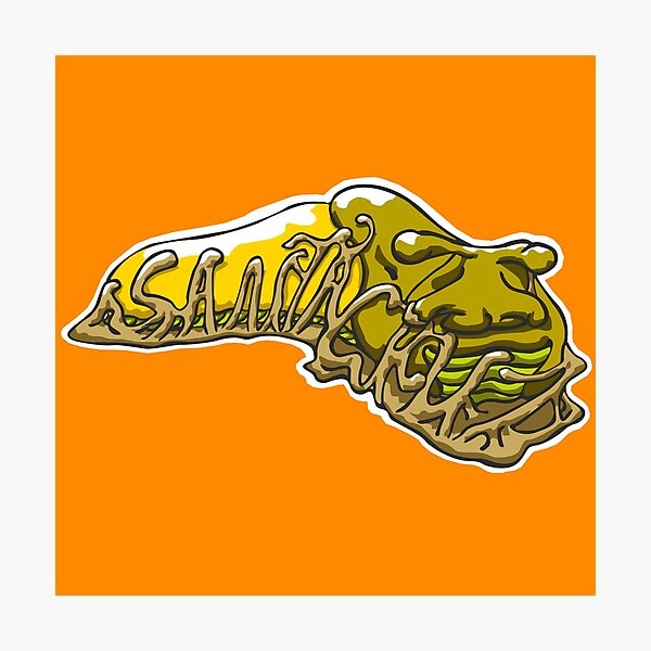 Yellow Santa Cruz Photographic Prints | Redbubble