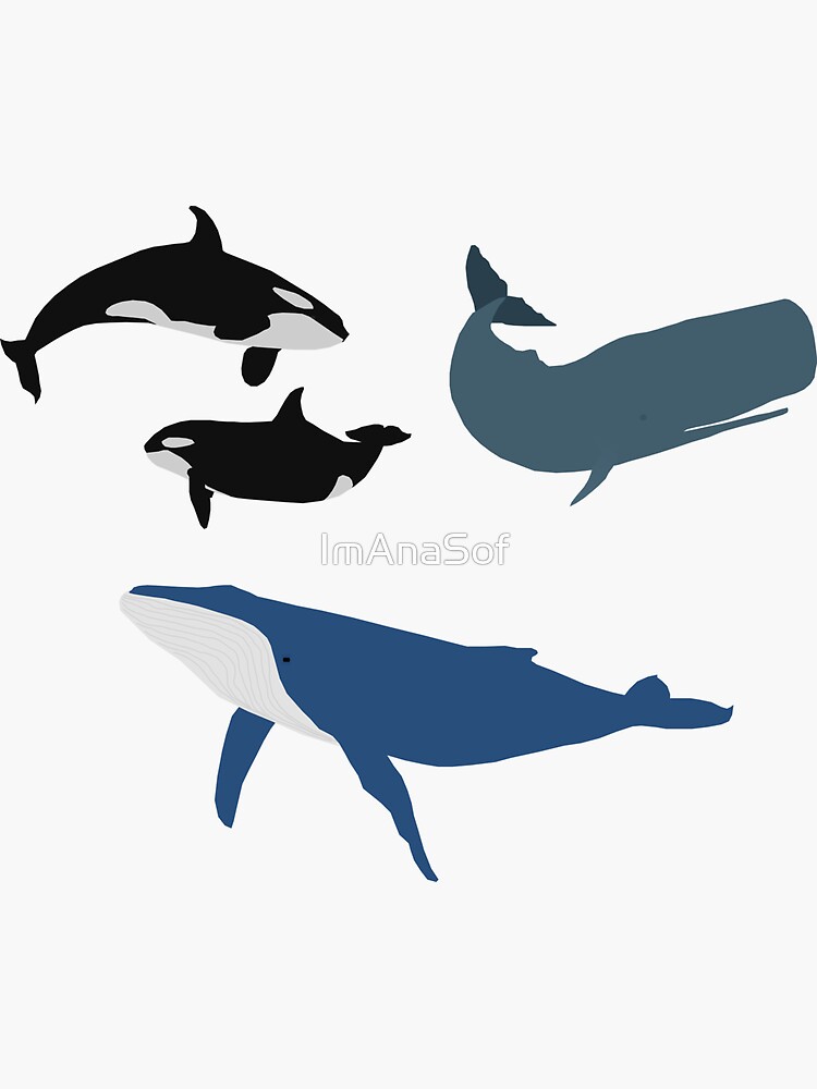 "Sticker pack - Whales" Sticker for Sale by ImAnaSof | Redbubble