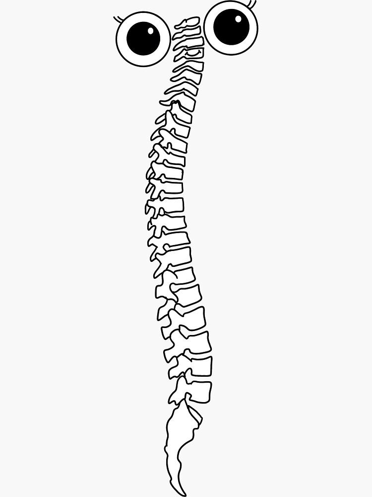 "cartoon spine" Sticker for Sale by chirostudent | Redbubble