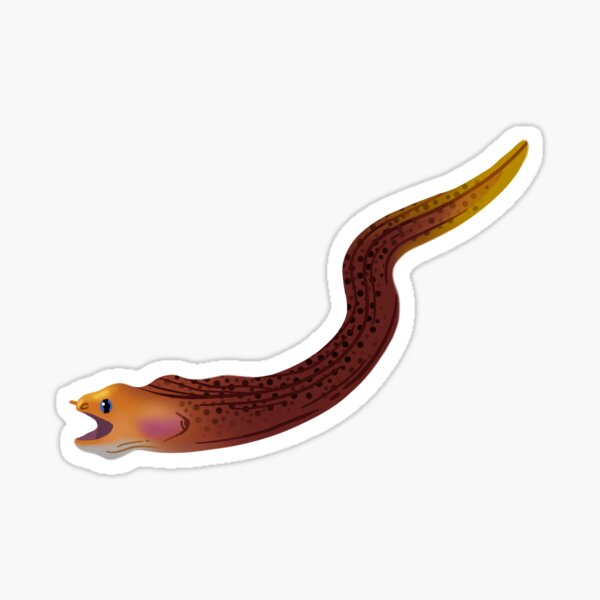 "Golden Eel" Sticker for Sale by chromachamelea | Redbubble