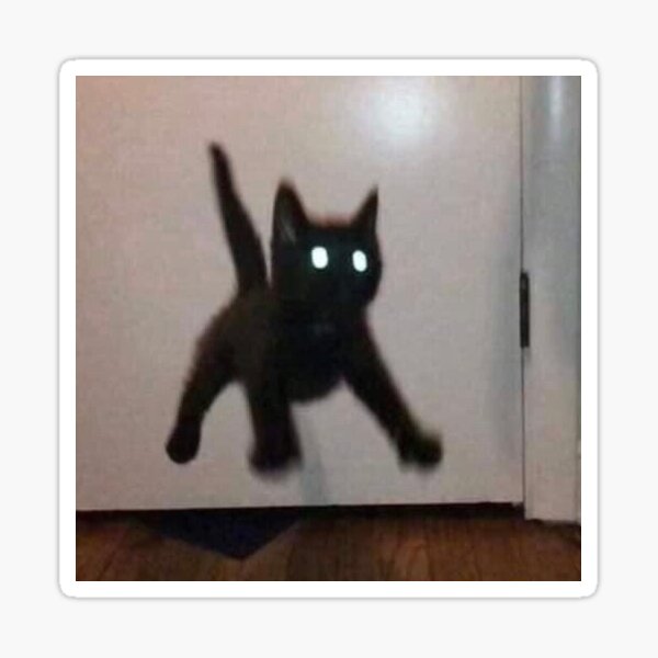 "JUMP CAT" Sticker for Sale by meganflemming | Redbubble