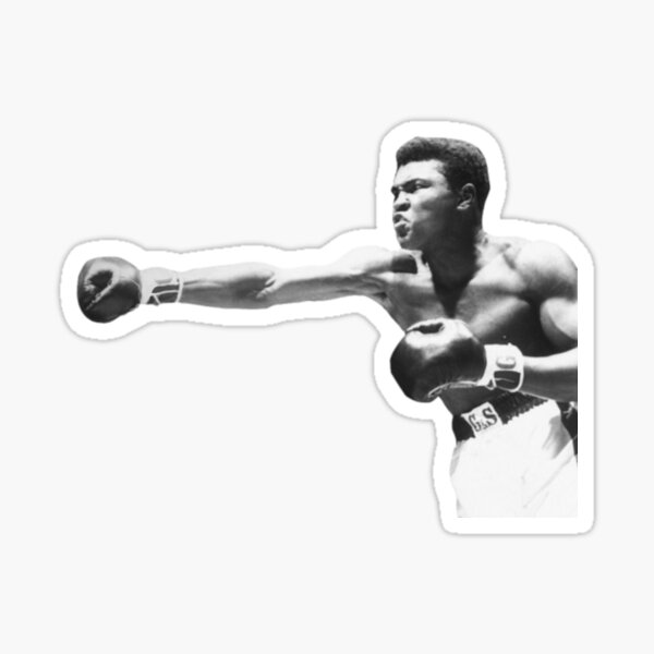 "Ali" Sticker for Sale by teeeceeeart | Redbubble