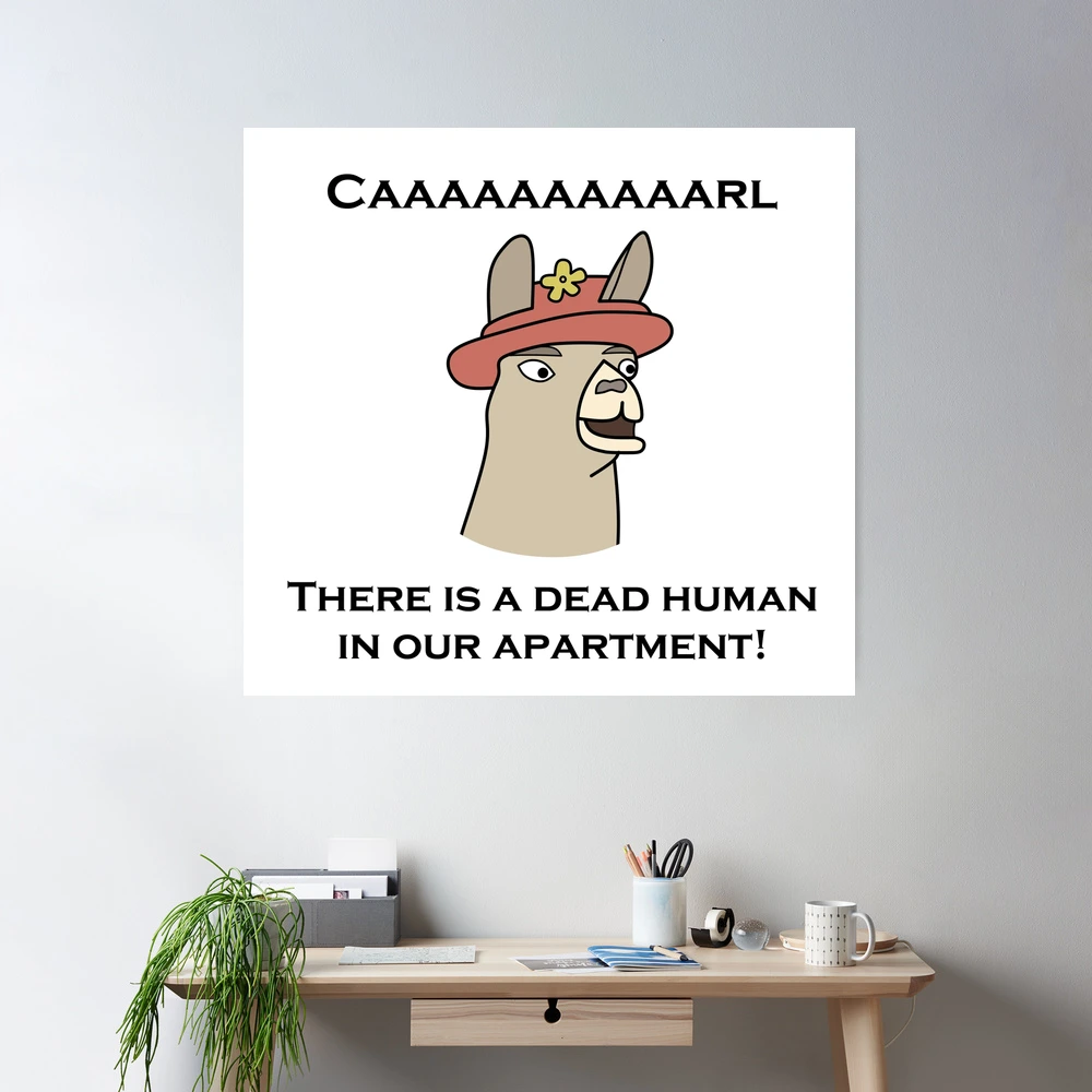 Llamas In Hats Quotes