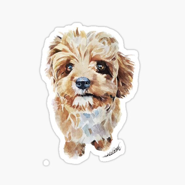 "Cavapoo" Sticker by EdsWatercolours | Redbubble