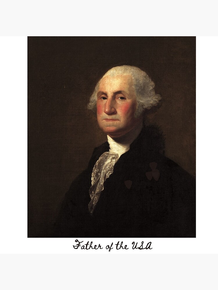 "George Washington Father of the USA" Art Print for Sale by ...