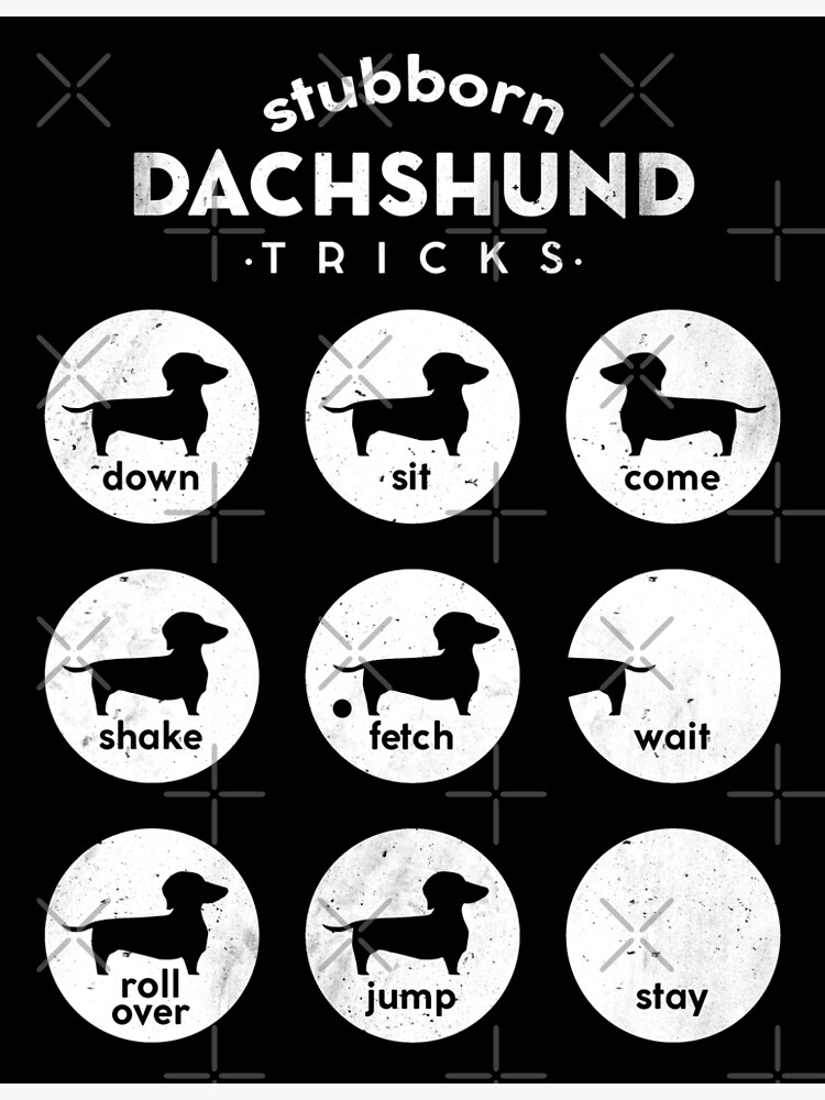 "Stubborn Dachshund Tricks Chart" Poster by Reiyankhairina | Redbubble