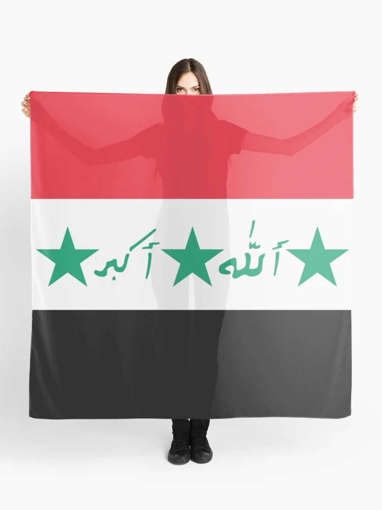 Bandera Oriente Medio Mapa De La Bandera De Oriente Medio Ilustración ...