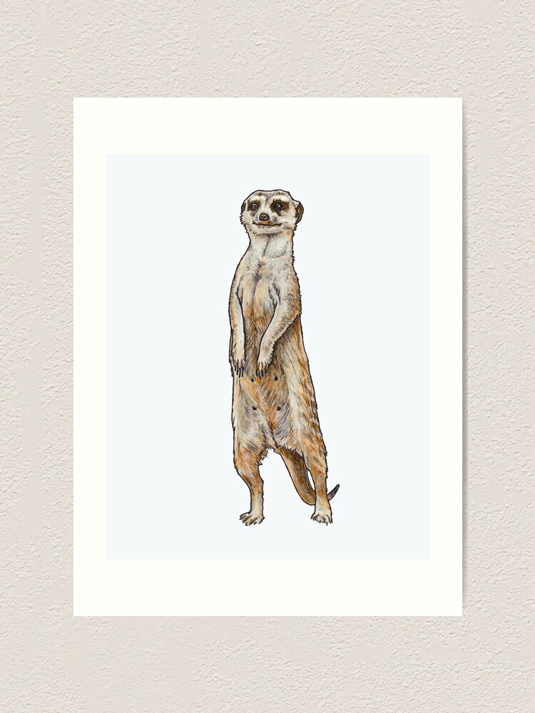 "LADY OF THE MEERKAT MANOR" Art Print for Sale by PaddyMorton | Redbubble