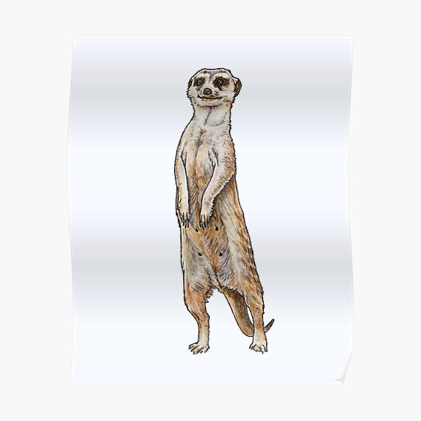 "LADY OF THE MEERKAT MANOR" Poster for Sale by PaddyMorton | Redbubble