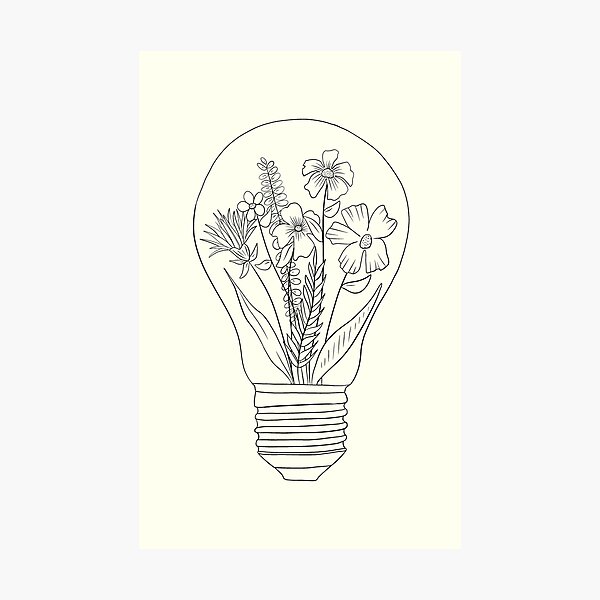 "Flower Light Bulb Line Drawing" Photographic Print for Sale by maggie ...