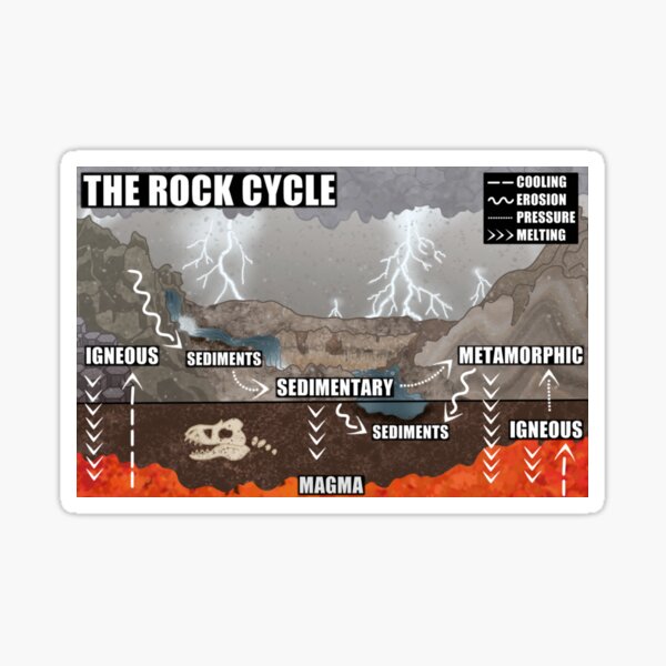 "Rock Cycle Infographic" Sticker for Sale by crvptidnx | Redbubble