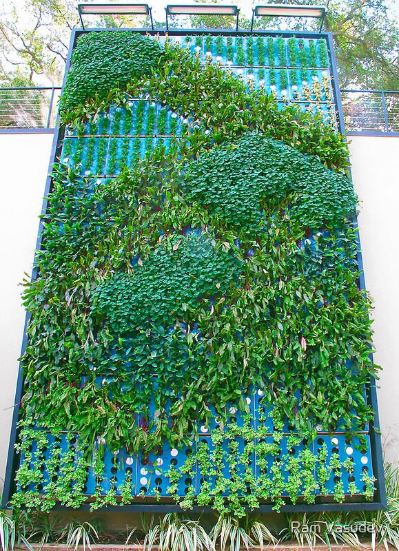 "Vertical Gardening - Vertical Garden Green Wall Biowall ecowall Living ...