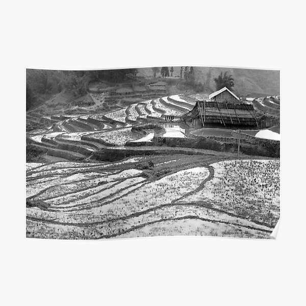 "Sapa, Rice Terraces and House, Vietnam" Poster for Sale by ...