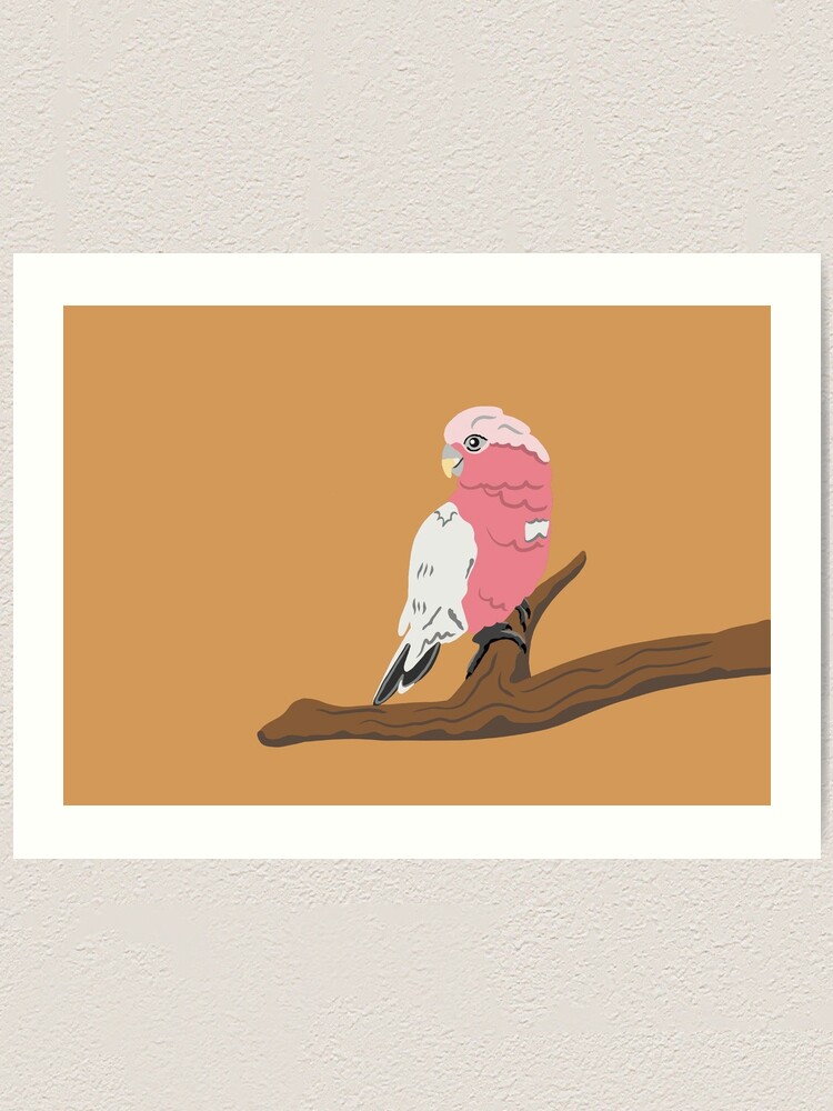 "Galah" Art Print for Sale by Tilly-Scribbles | Redbubble