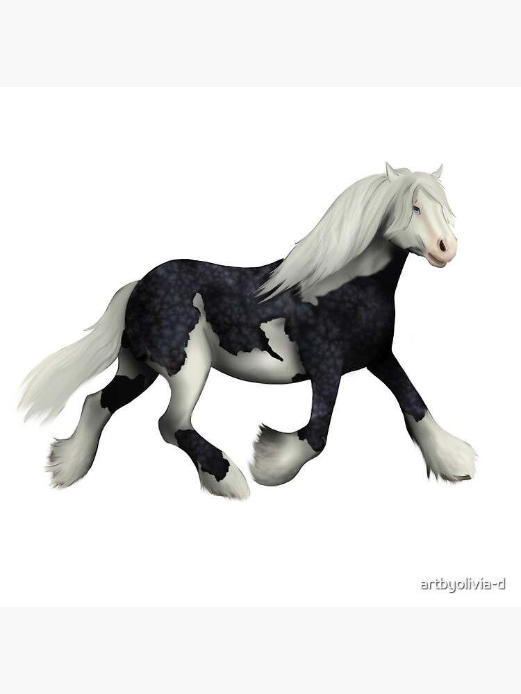 "Gypsy Vanner " Poster by artbyolivia-d | Redbubble