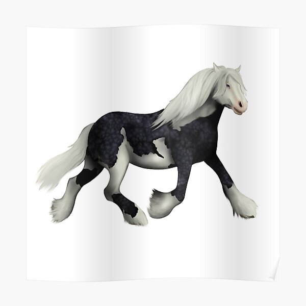 "Gypsy Vanner " Poster by artbyolivia-d | Redbubble