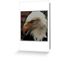 "ASCii EQUAL EAGLE by ROOTCAT" Scarves by Grimm Land | Redbubble