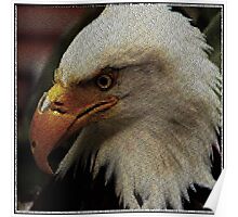 "ASCii EQUAL EAGLE by ROOTCAT" Scarves by Grimm Land | Redbubble