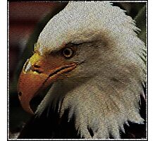 "ASCii EQUAL EAGLE by ROOTCAT" Scarves by Grimm Land | Redbubble