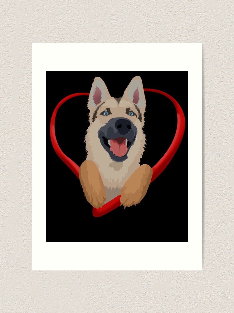 "Gerberian Shepsky Siberian Husky German Shepherd " Art Print by ...