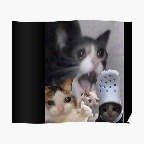 Crying Cat Croc Meme Posters | Redbubble