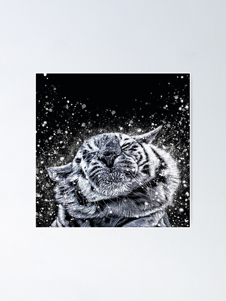 "Tiger Shake" Poster by misspaws | Redbubble
