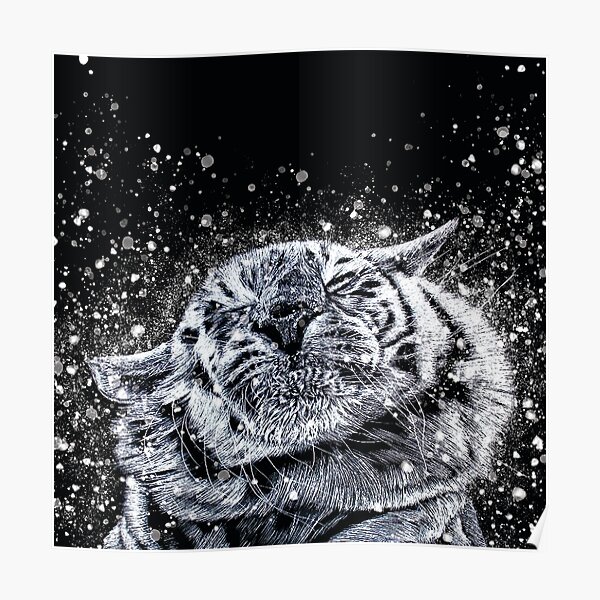 "Tiger Shake" Poster by misspaws | Redbubble
