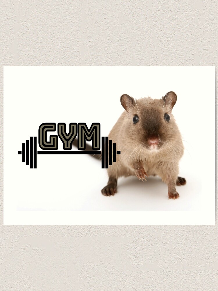 "Just A Gym Rat" Art Print by dropd6string | Redbubble
