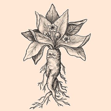 "Mandragora " Sticker for Sale by juliavector | Redbubble