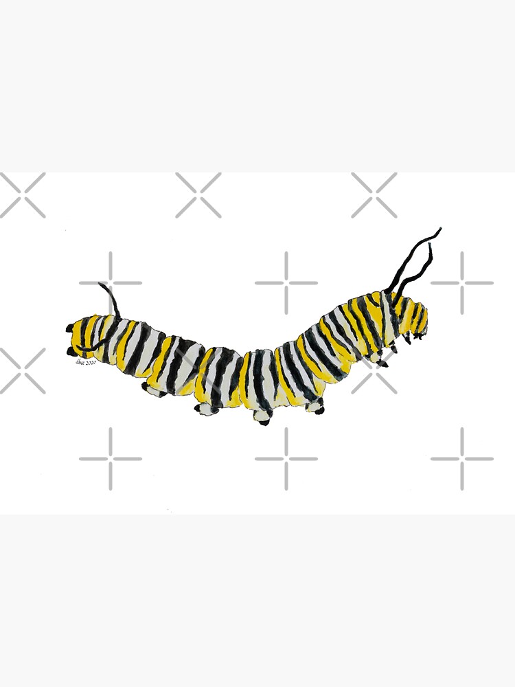 "Monarch Butterfly Caterpillar" Sticker for Sale by DbeeRobinson ...