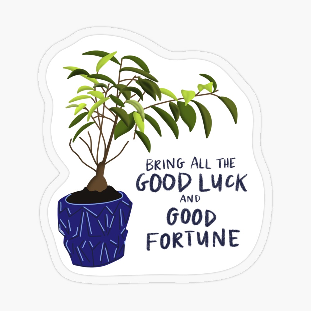 Money Tree Good Luck Good Fortune Greeting Card for Sale by MorganRenfro Redbubble