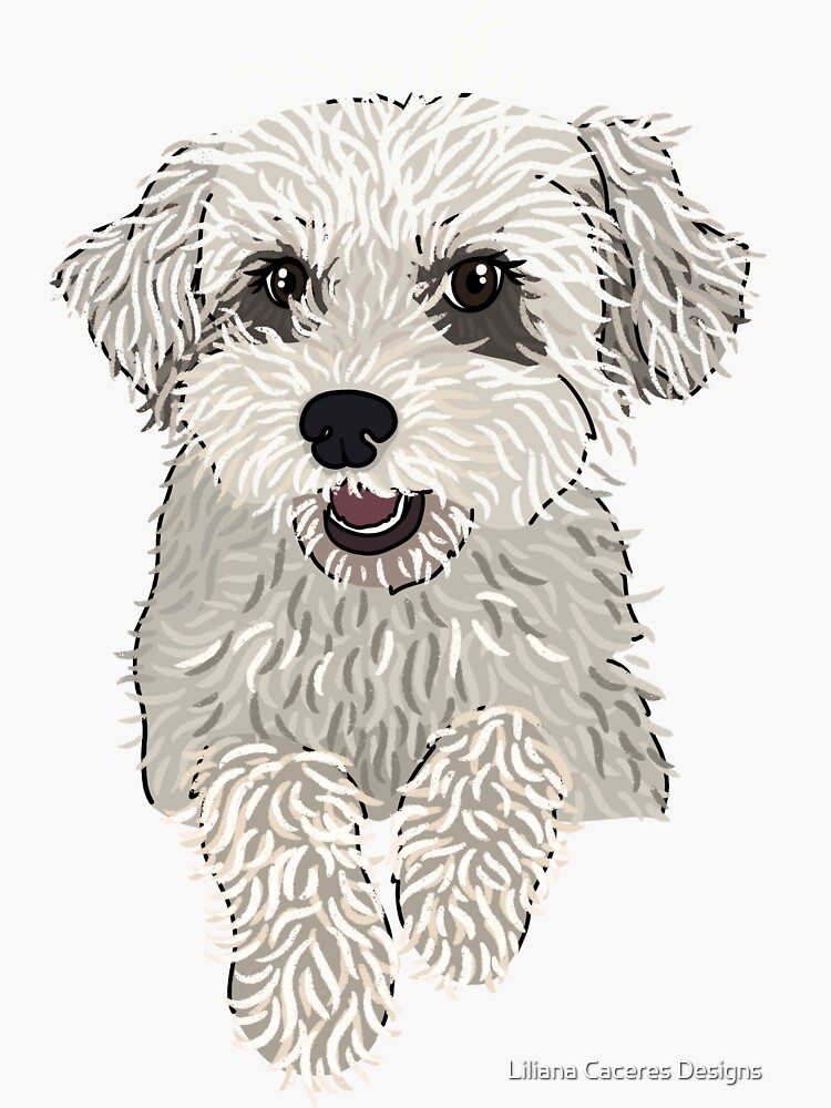 "Schnoodle Illustration " Sticker for Sale by lilianacdesigns | Redbubble