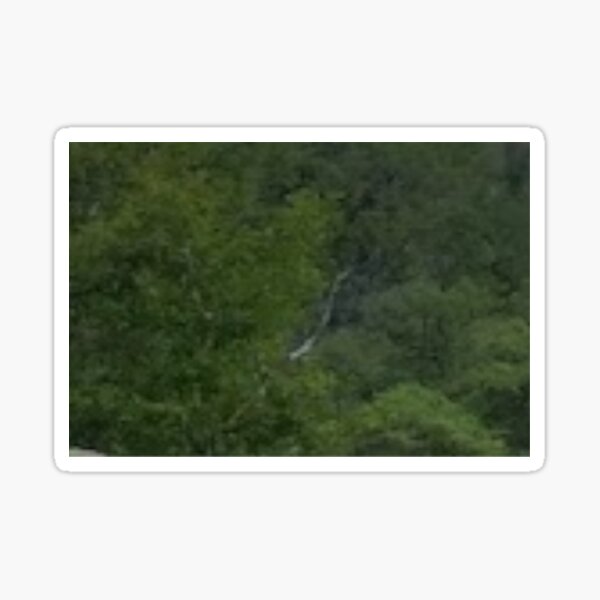 "trees" Sticker by MsTyson | Redbubble