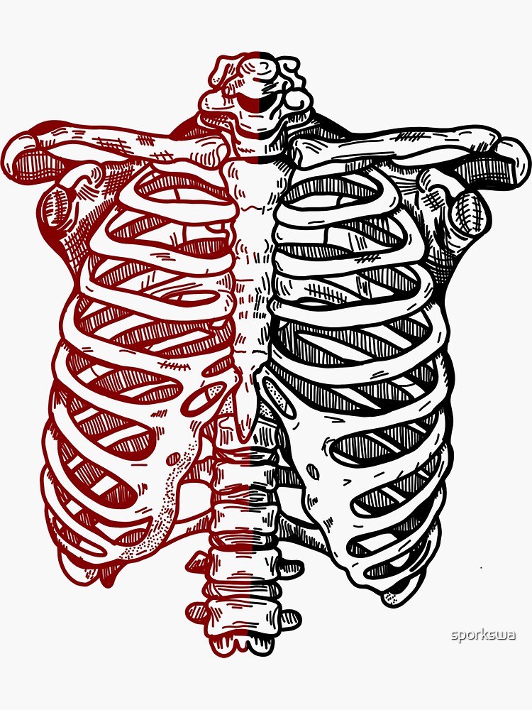 "Rib cage " Sticker by sporkswa | Redbubble
